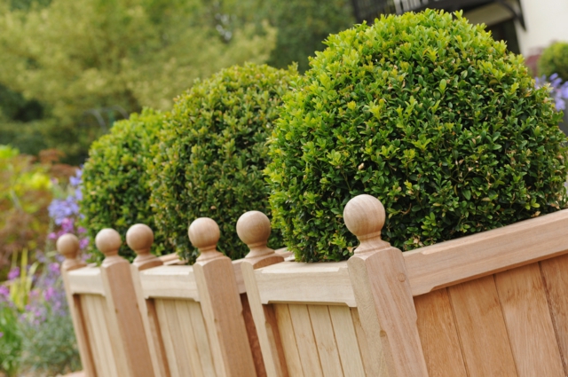Wie Sie Blumentöpfe als Dekoration für die Terrasse verwenden können