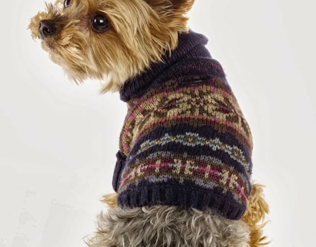 Katzen- und Hundepullover stricken - 62 Tierkleidung-Ideen