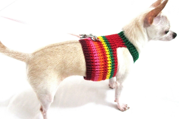 Katzen- und Hundepullover stricken - 62 Tierkleidung-Ideen