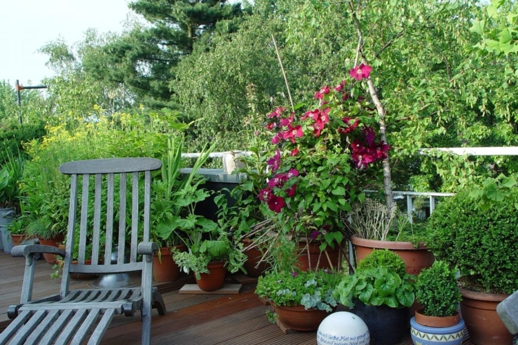 Balkonbepflanzung Ideen - Pflanzen für jede Himmelsrichtung