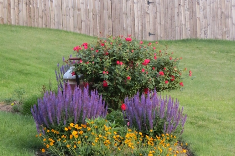 Beetgestaltung Ideen und Tipps für schöne Blumenbeete im Garten