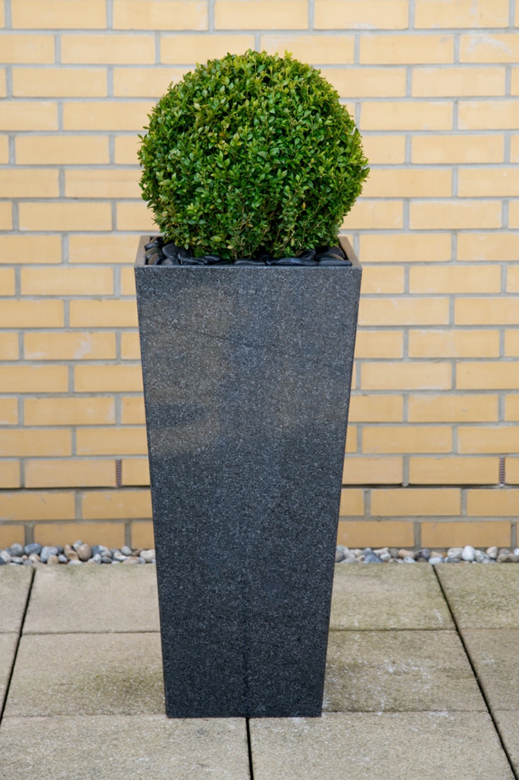 Buchsbaum Formschnitt - Anleitungen zum Formen von Heckenpflanzen