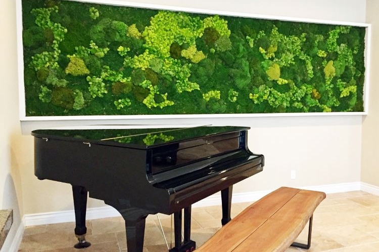 Wandgarten kreieren - Eine dekorative Mooswand selber machen