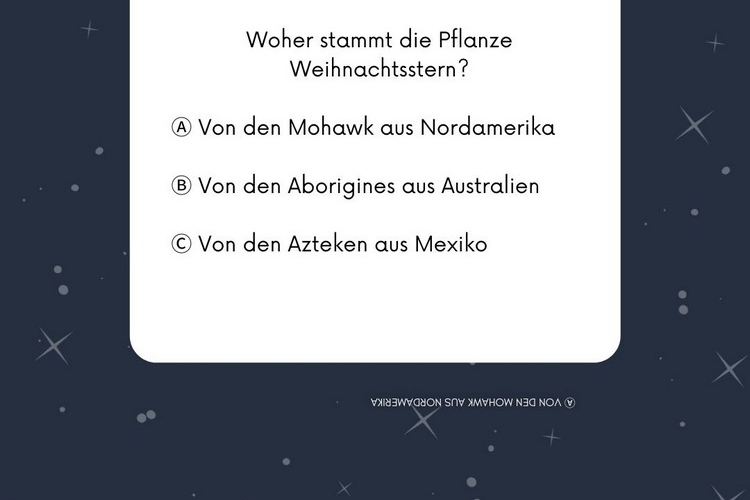 Weihnachtsquiz mit Lösungen - Spielend Neues lernen!