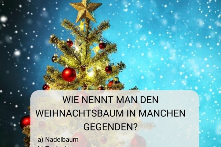 Weihnachtsquiz mit Lösungen - Spielend Neues lernen!