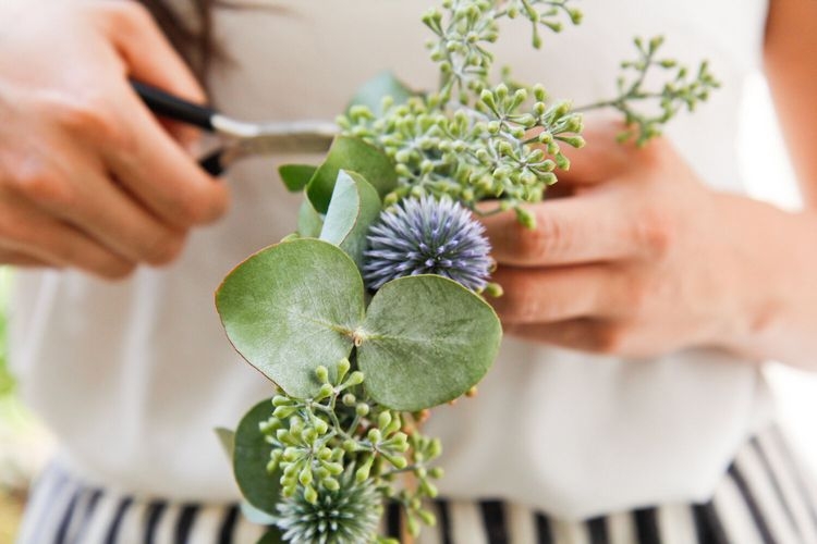 Dekotipp: Disteln trocknen und schöne Deko selber machen
