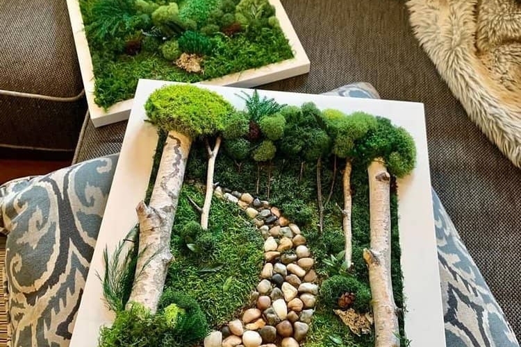 Möchten Sie ein Moosbild selber machen? Wir zeigen wie!