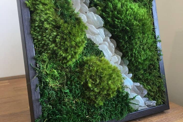 Möchten Sie ein Moosbild selber machen? Wir zeigen wie!