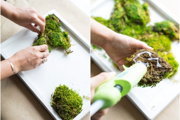 Möchten Sie ein Moosbild selber machen? Wir zeigen wie!