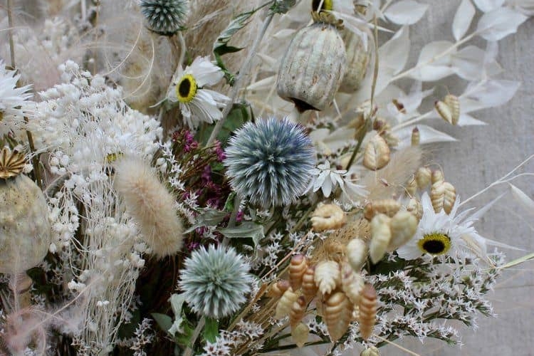 Dekotipp: Disteln trocknen und schöne Deko selber machen