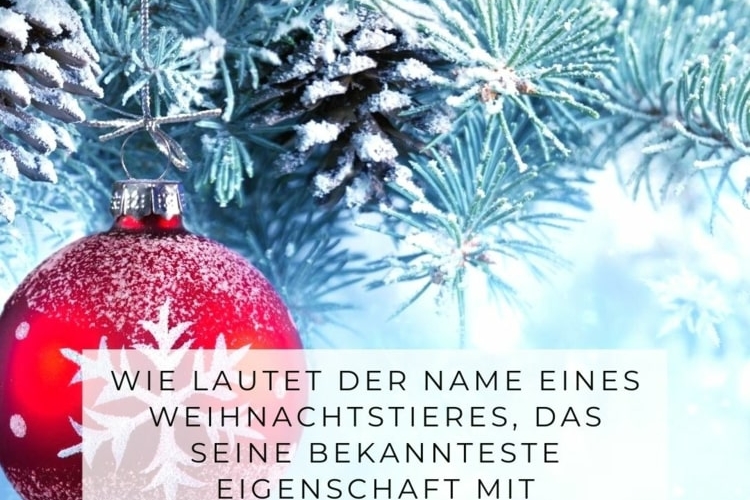 Weihnachtsquiz mit Lösungen für Erwachsene: Es wird richtig knifflig ...