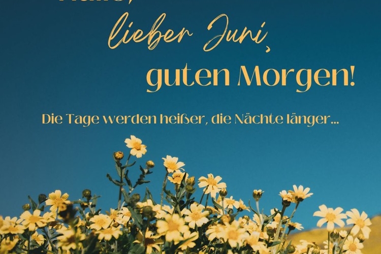 Hallo Juni: Bilder und Sprüche zum ersten Sommermonat