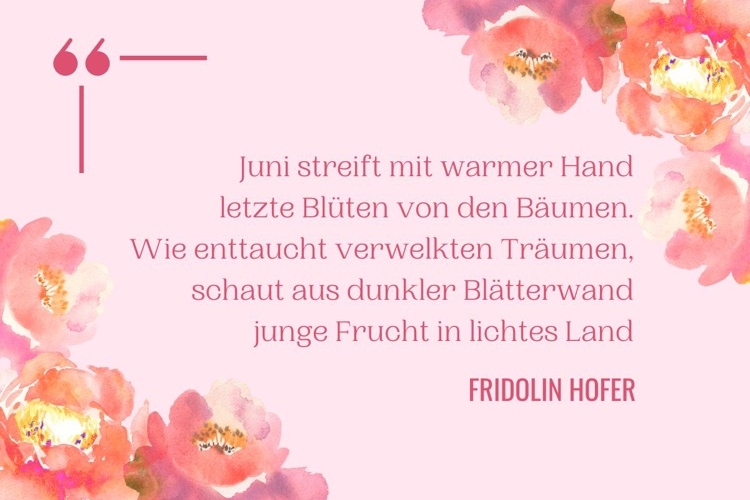 Hallo Juni: Bilder und Sprüche zum ersten Sommermonat