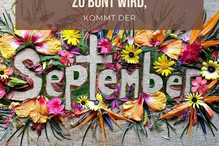 Hallo September: Kostenlose Sprüche für WhatsApp und Co.